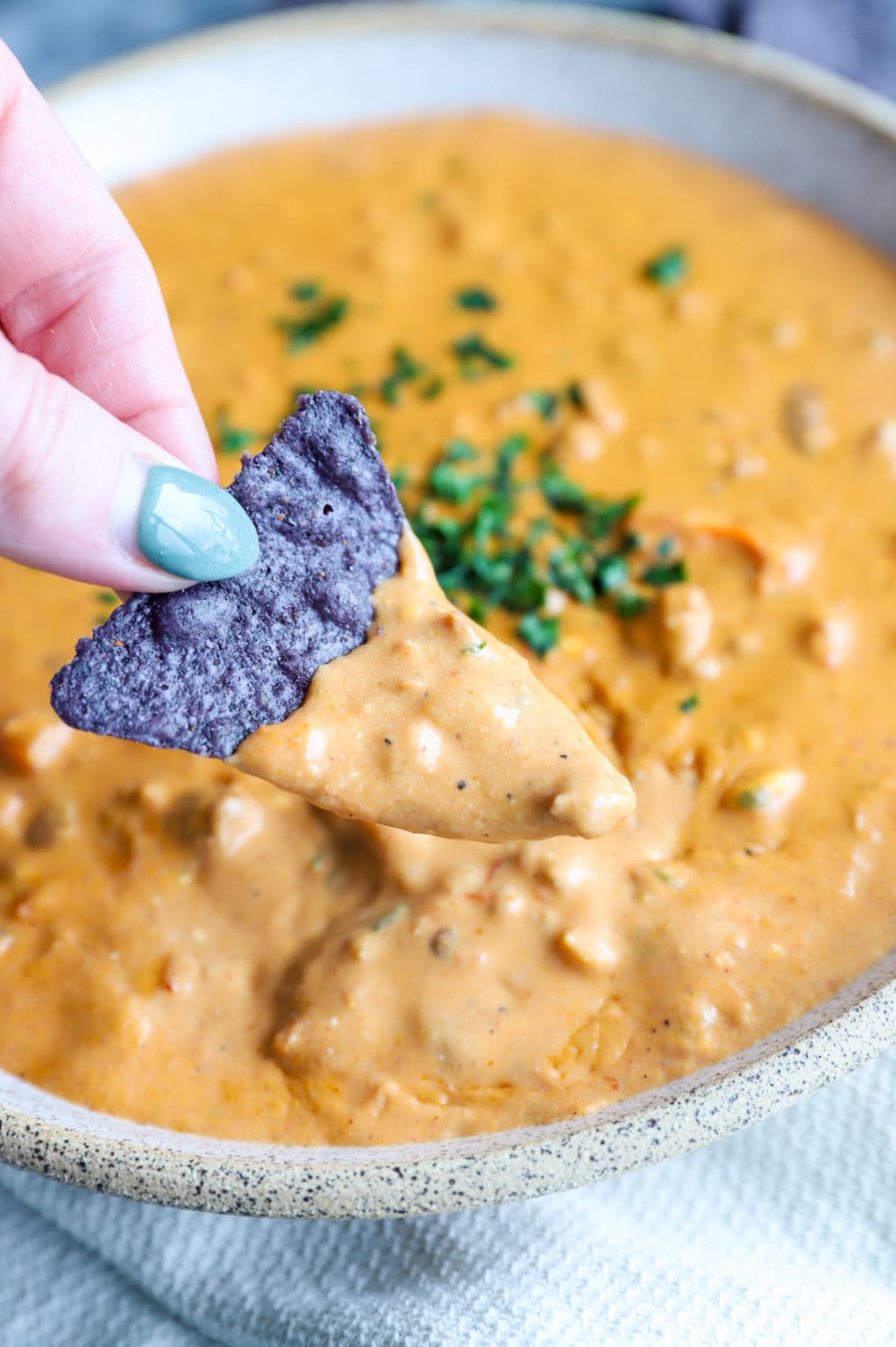 Chipotle Chili Cheese Dip | Cake 'n Knife
