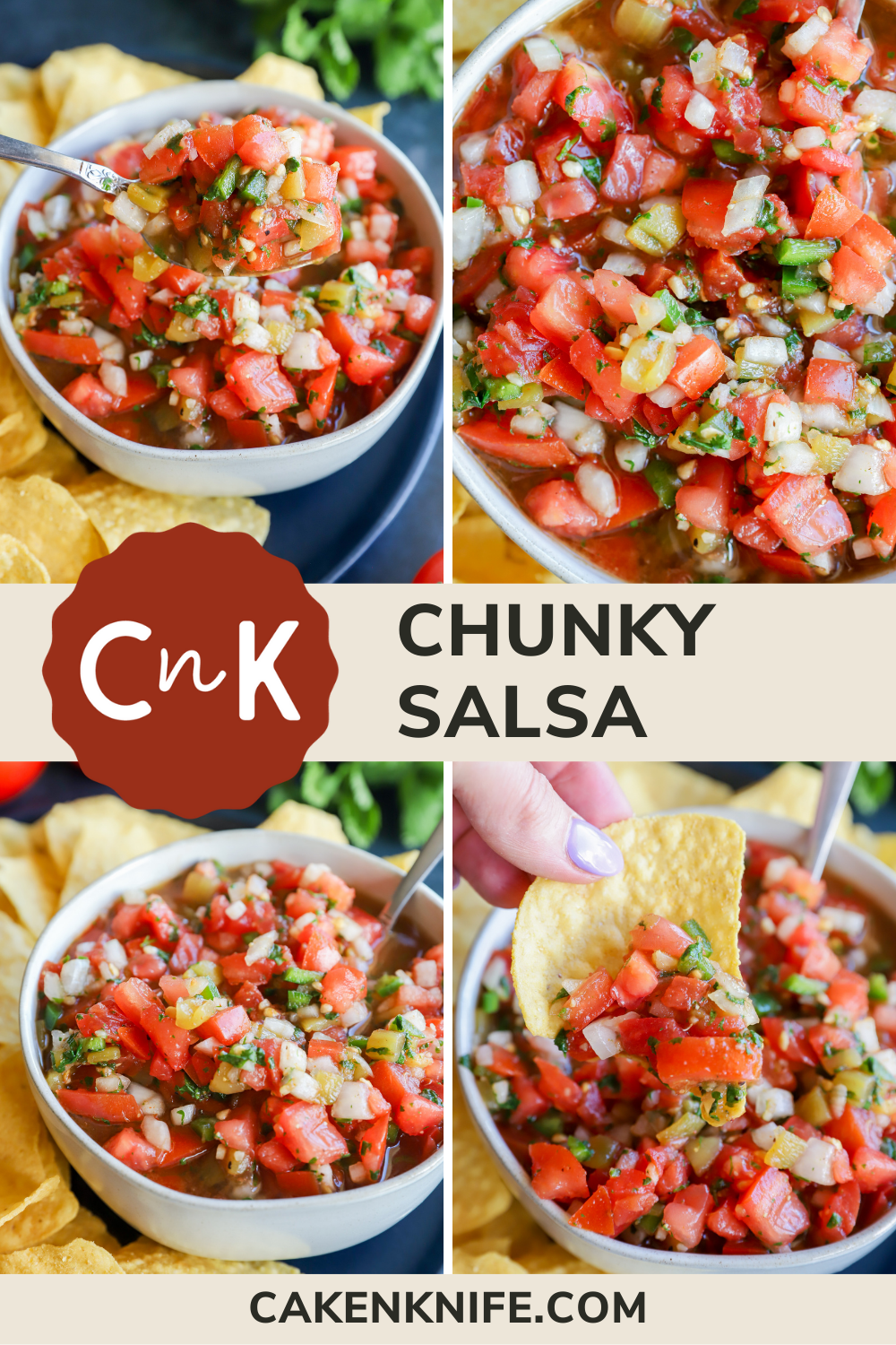 The Best Chunky Salsa | Cake 'n Knife