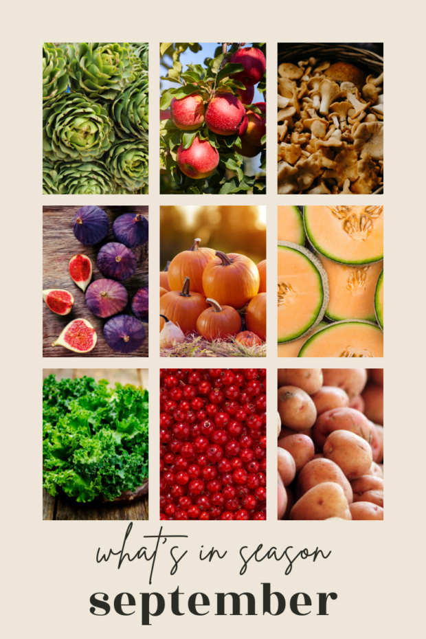 What's in Season in September (Produce Guide) | Cake 'n Knife