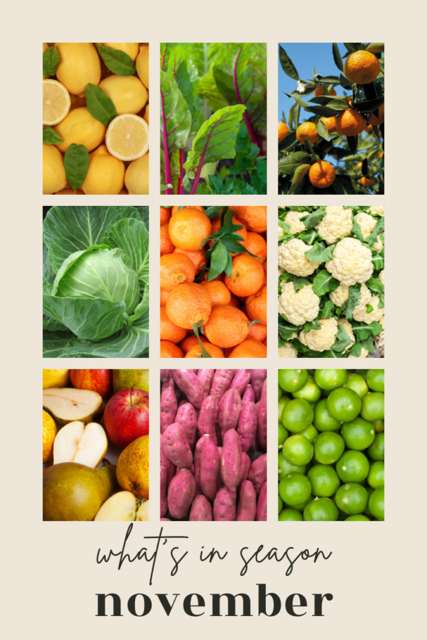 What’s in Season in November (Produce Guide) | Cake 'n Knife