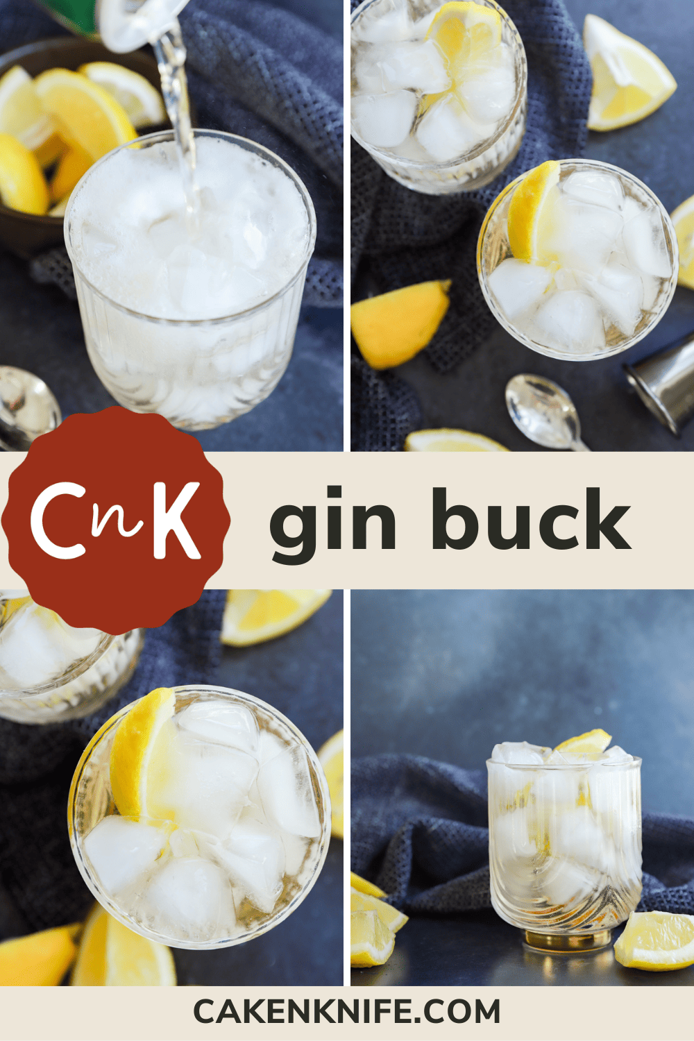 Gin and Ginger Ale Cocktail | Cake 'n Knife