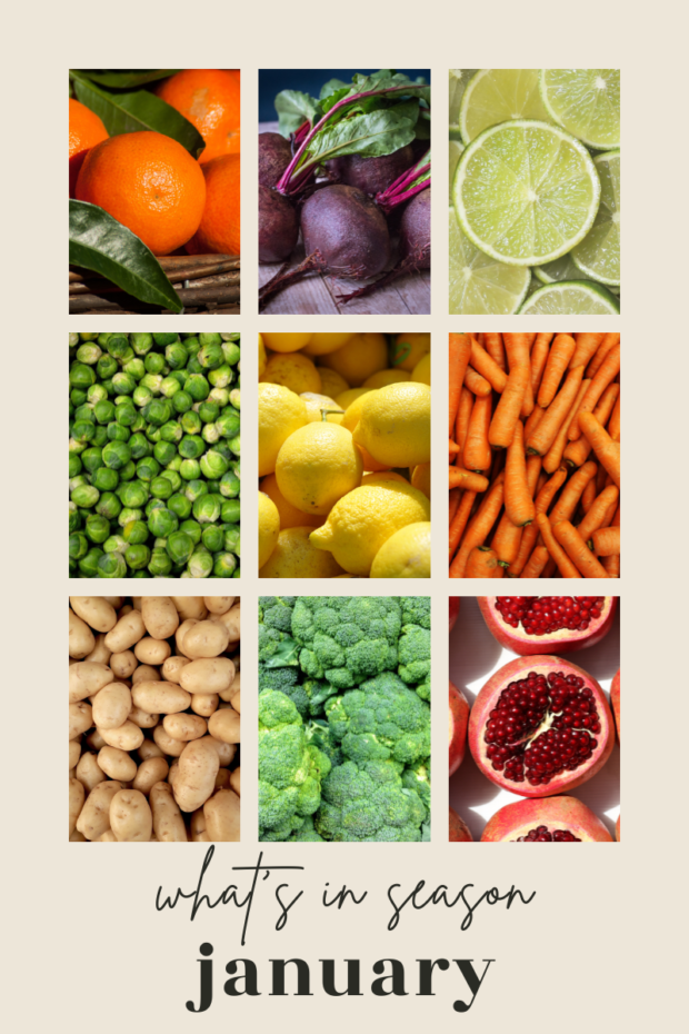 What’s in Season in January (Produce Guide) | Cake 'n Knife