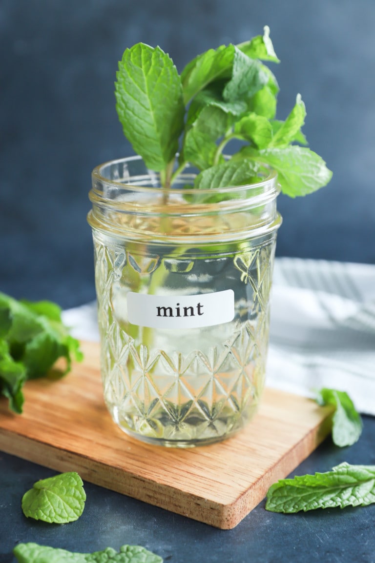 How to Make Fresh Mint Simple Syrup | Cake 'n Knife
